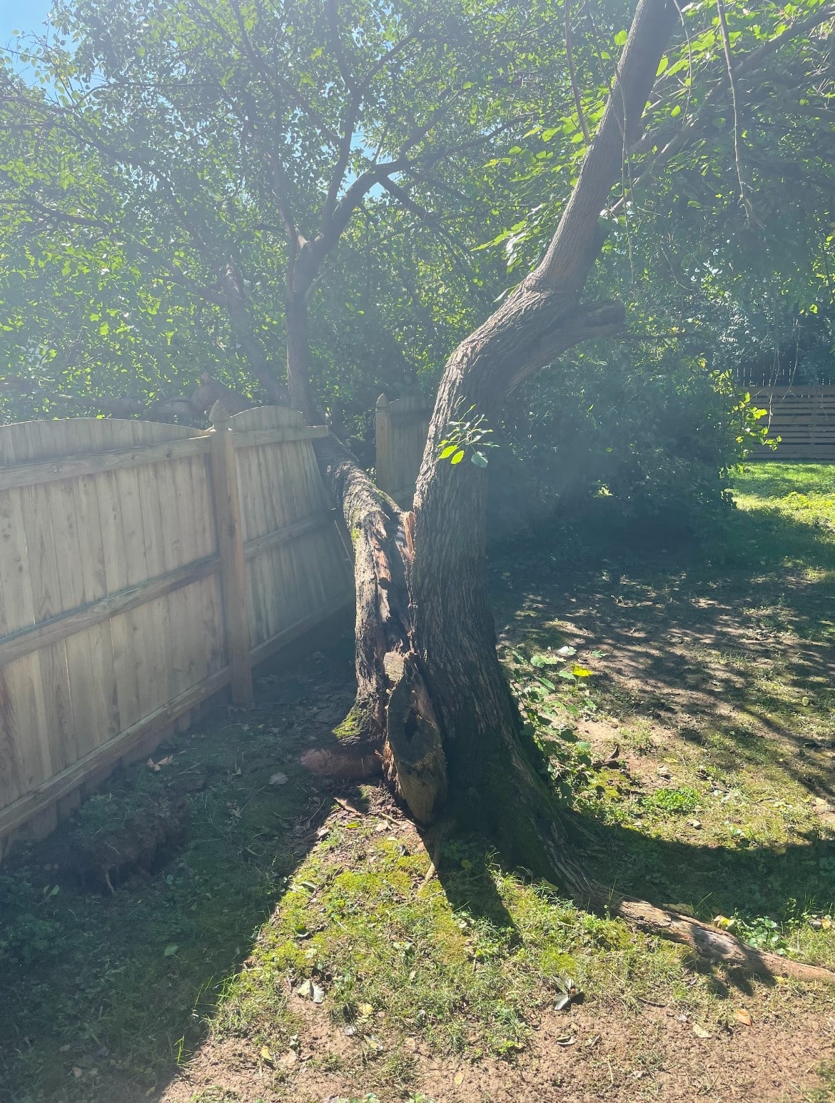 "Hey Neighbor!" At Home and in ECE with the Spanglers and McCoys » JCC ...